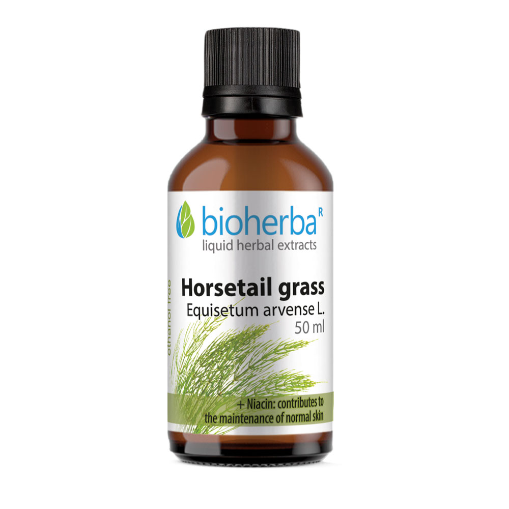 Tinktura poljska preslica